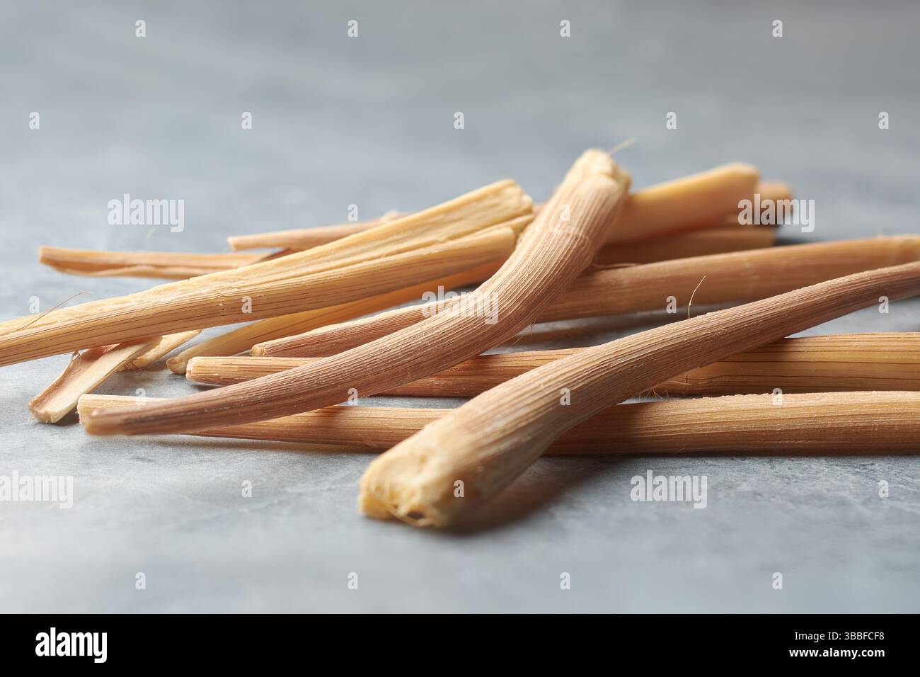 Palmyra tree jaffna hi-res stock photography and images - Alamy