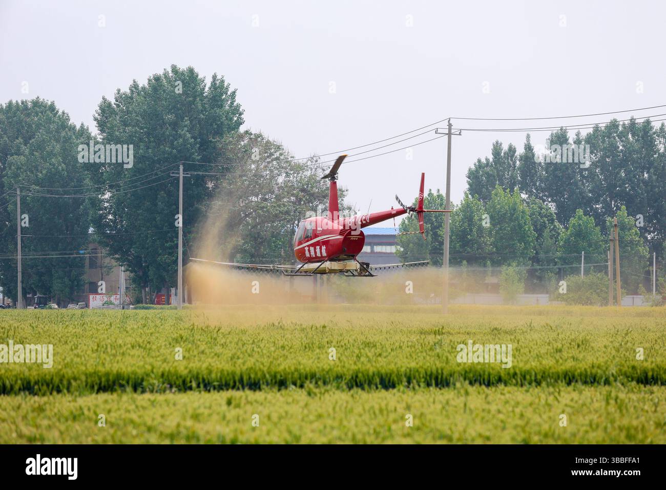 Tengzhou, China. 15th May, 2025. TENGZHOU, CHINA - MAY 15, 2025 - A ...