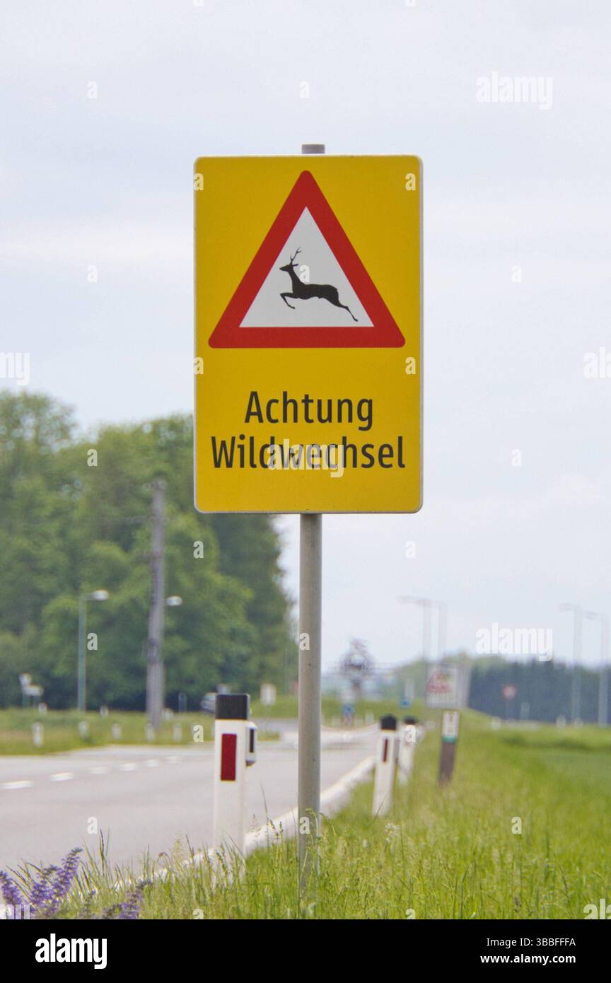16.05.2025, Hörsching / Linz, AUT, Unterwegs in Oberösterreich ...