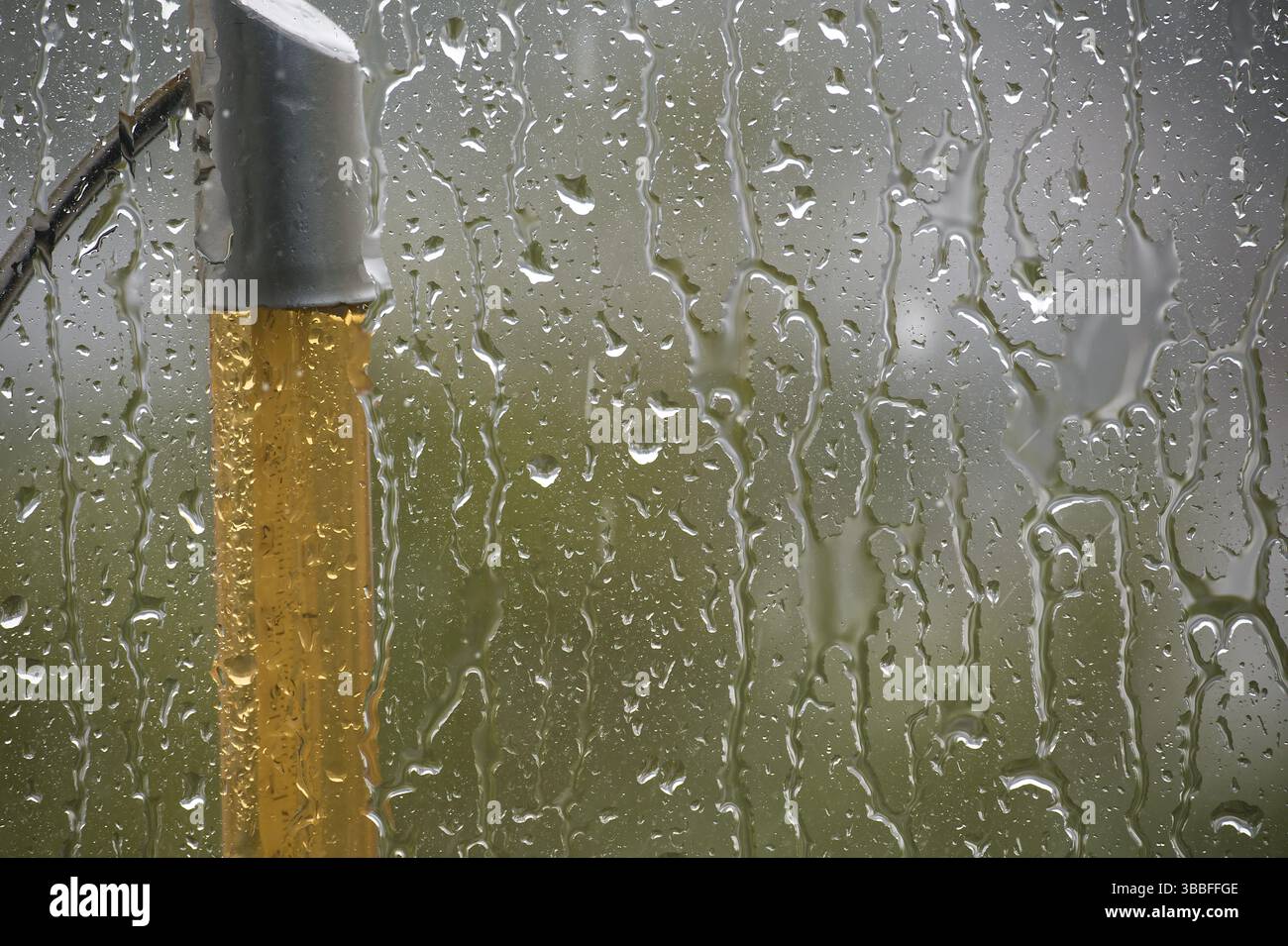 A close-up captures a rainy day scene, the raindrops cascading down a ...