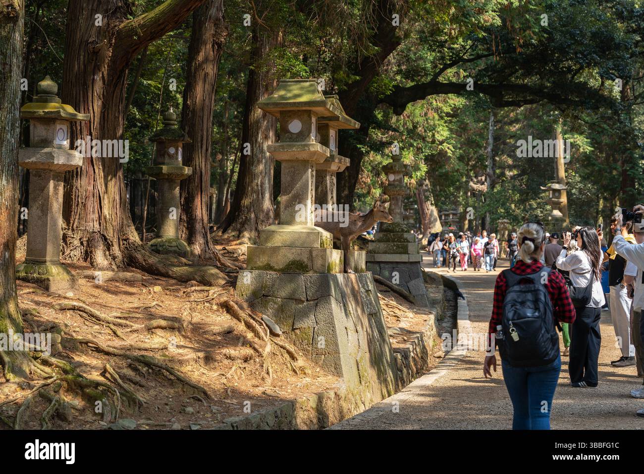 Osaka, Japan, Nara Park, A public landscape park with ancient temples ...