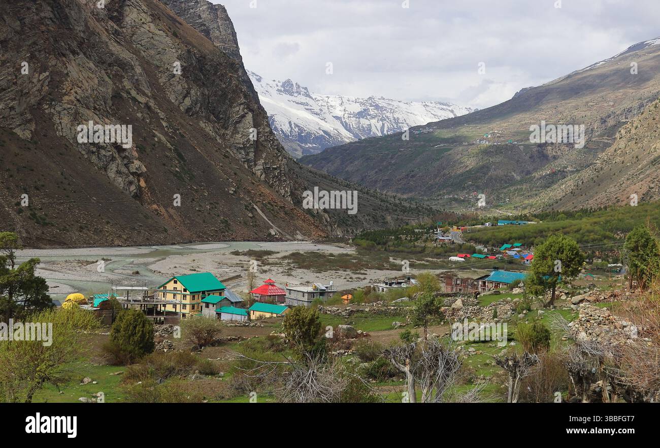 scenic landscape jispa village, snowcapped himalaya mountains and lush ...