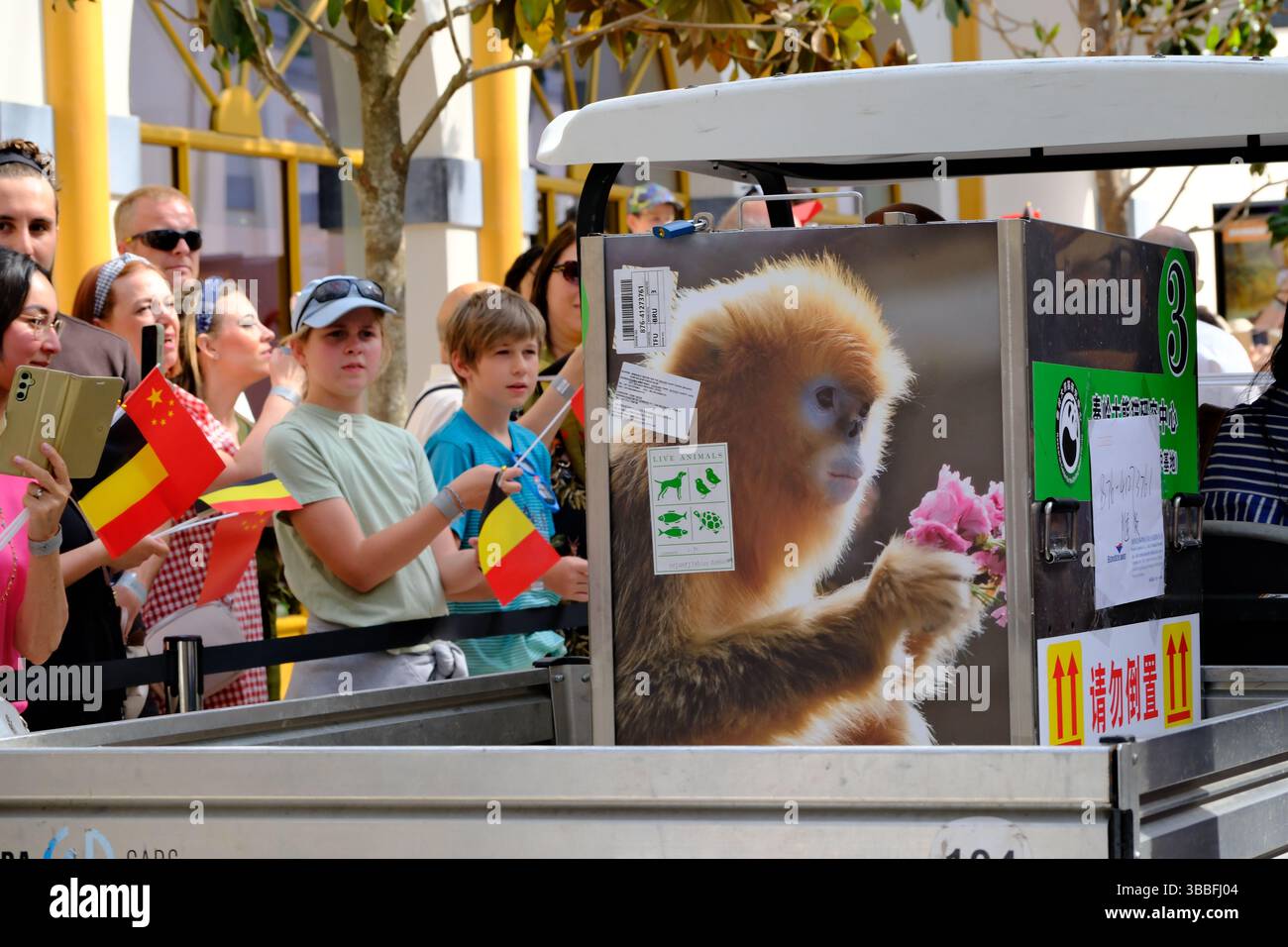 Beijing, Belgium. 14th May, 2025. People welcome the arrival of three ...