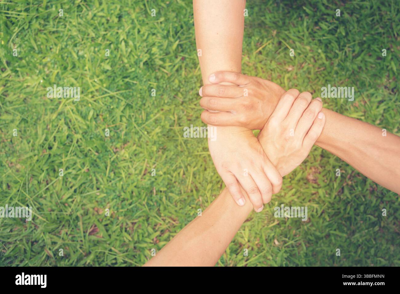 Concept partnership. Group of Photographers Partners Team with hands together trusted each ...