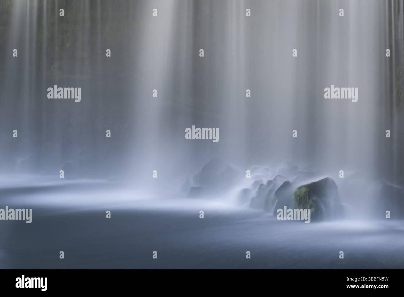 Tropical dry forest of Guanacaste Stock Photo - Alamy