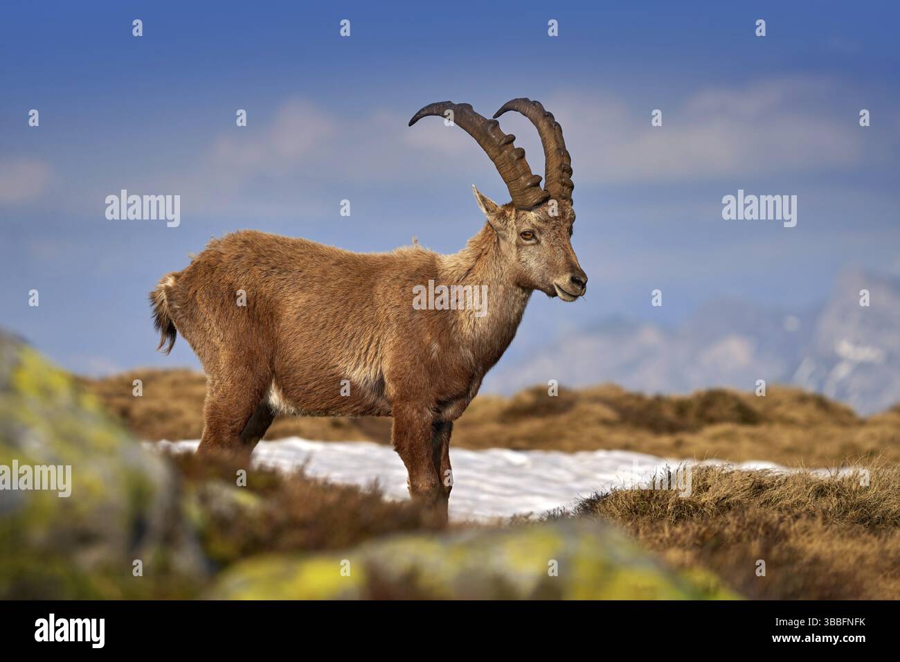 Awesome close up panoramic view hi-res stock photography and images - Alamy