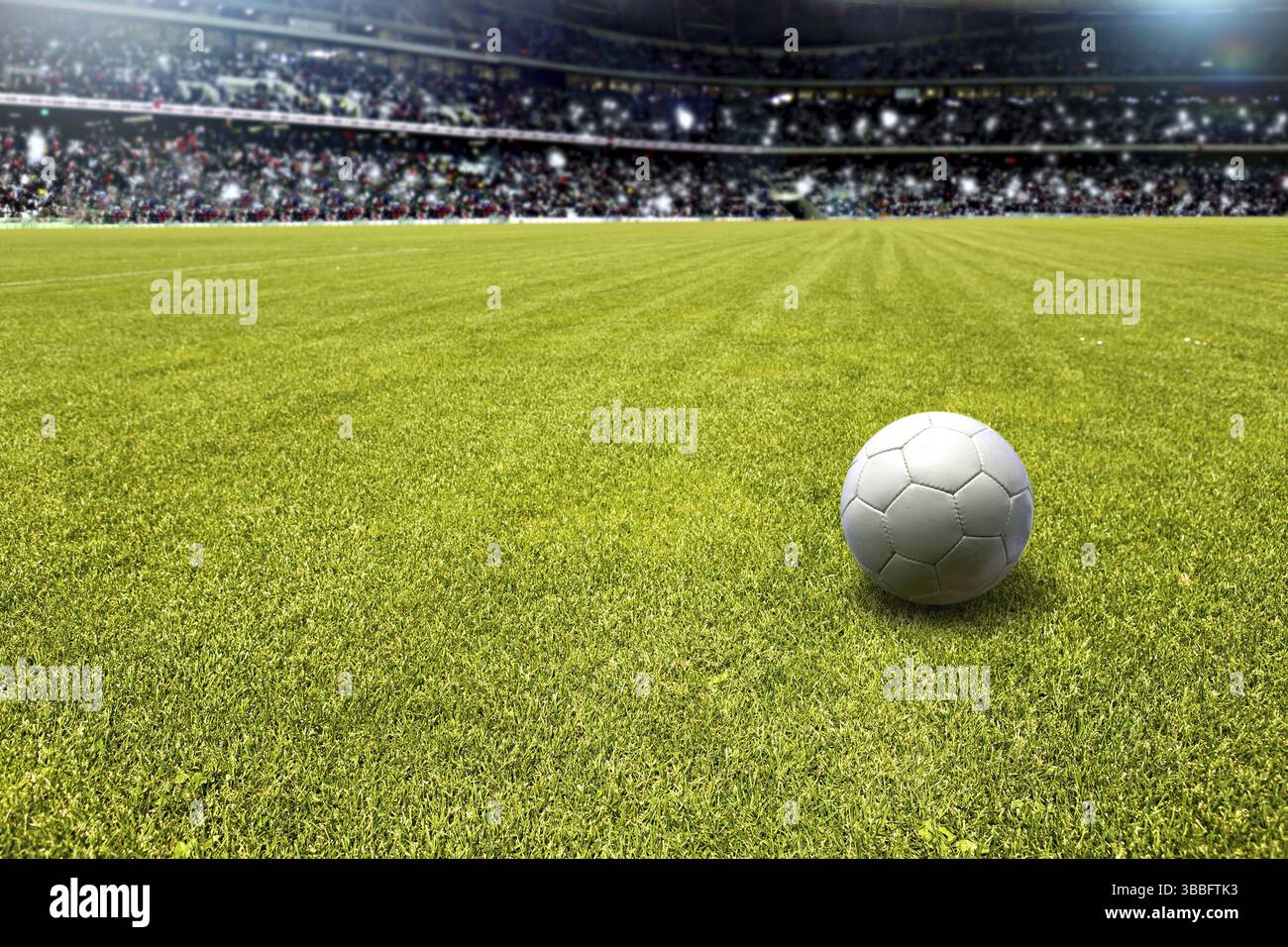 Close-up shut of a soccer field surface Stock Photo - Alamy