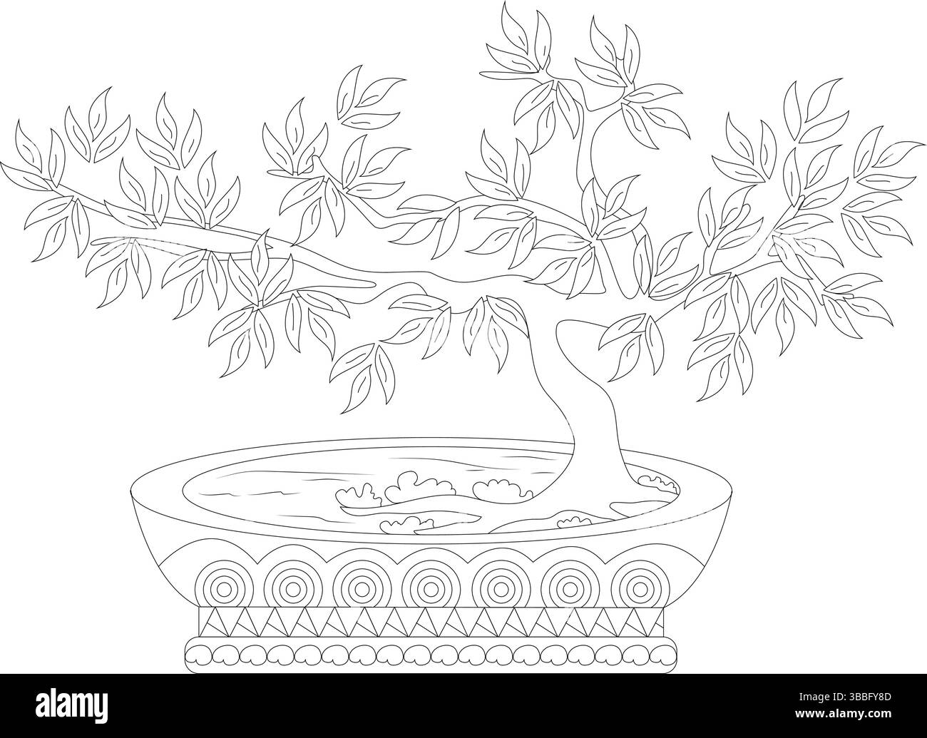 Planted pot Black and White Stock Photos & Images - Alamy