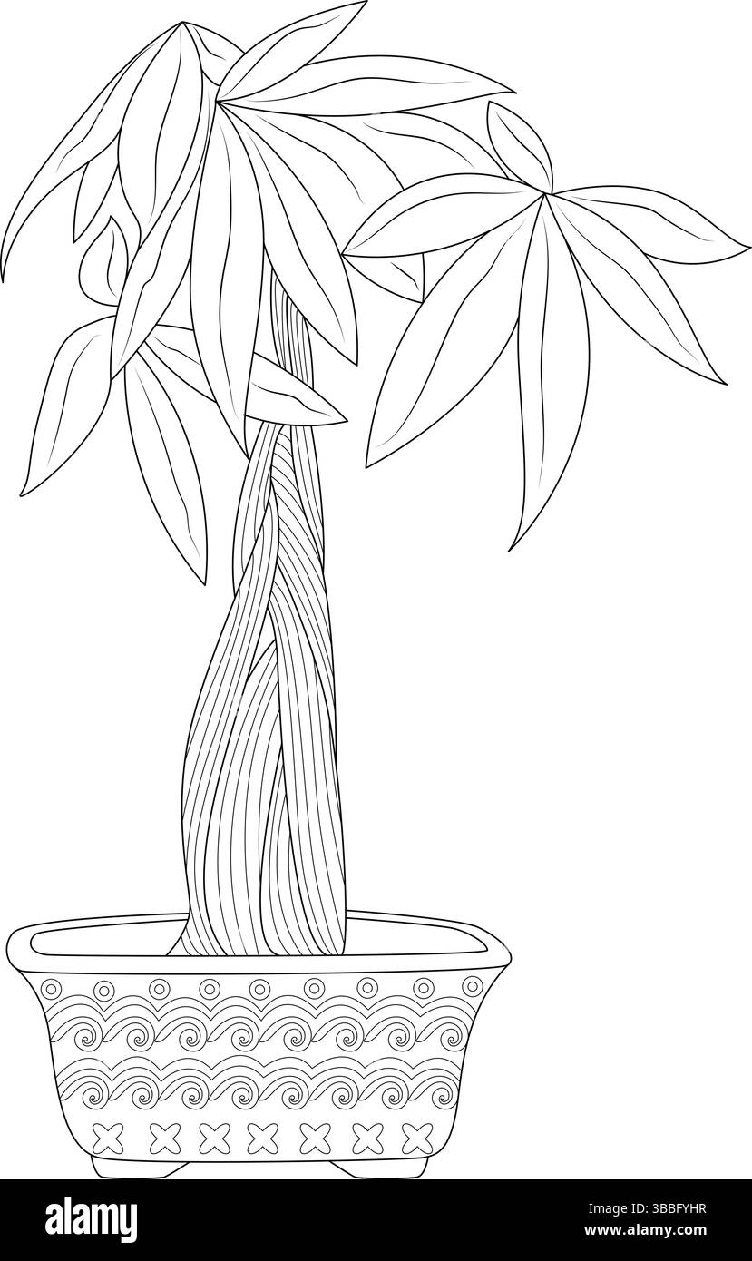 Small decorative tree in Black and White Stock Photos & Images - Alamy