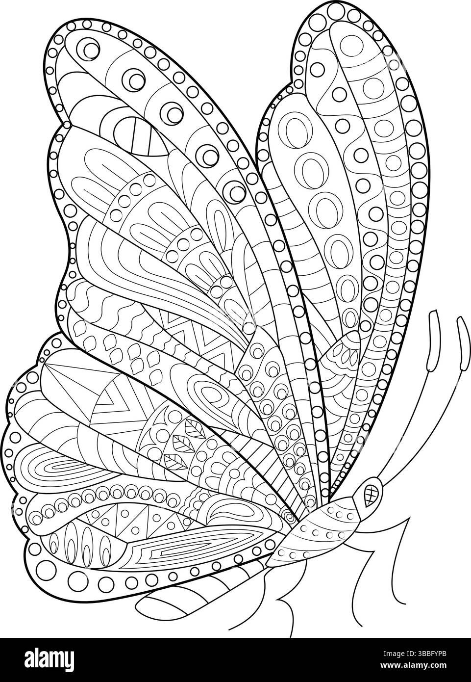 Detailed black and white line drawing of a butterfly with abstract and ...