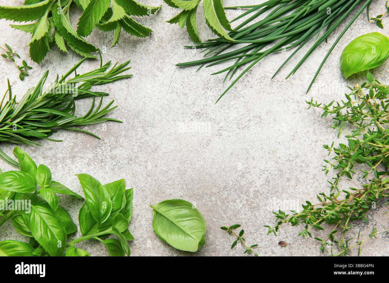 Sprigs of basil, rosemary, thyme, mint, and chives frame a gray ...
