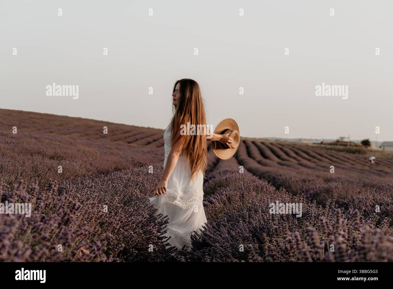 Lavender Fields Woman Dress France: Summer stroll through purple Provence lavender, showcasing a ...