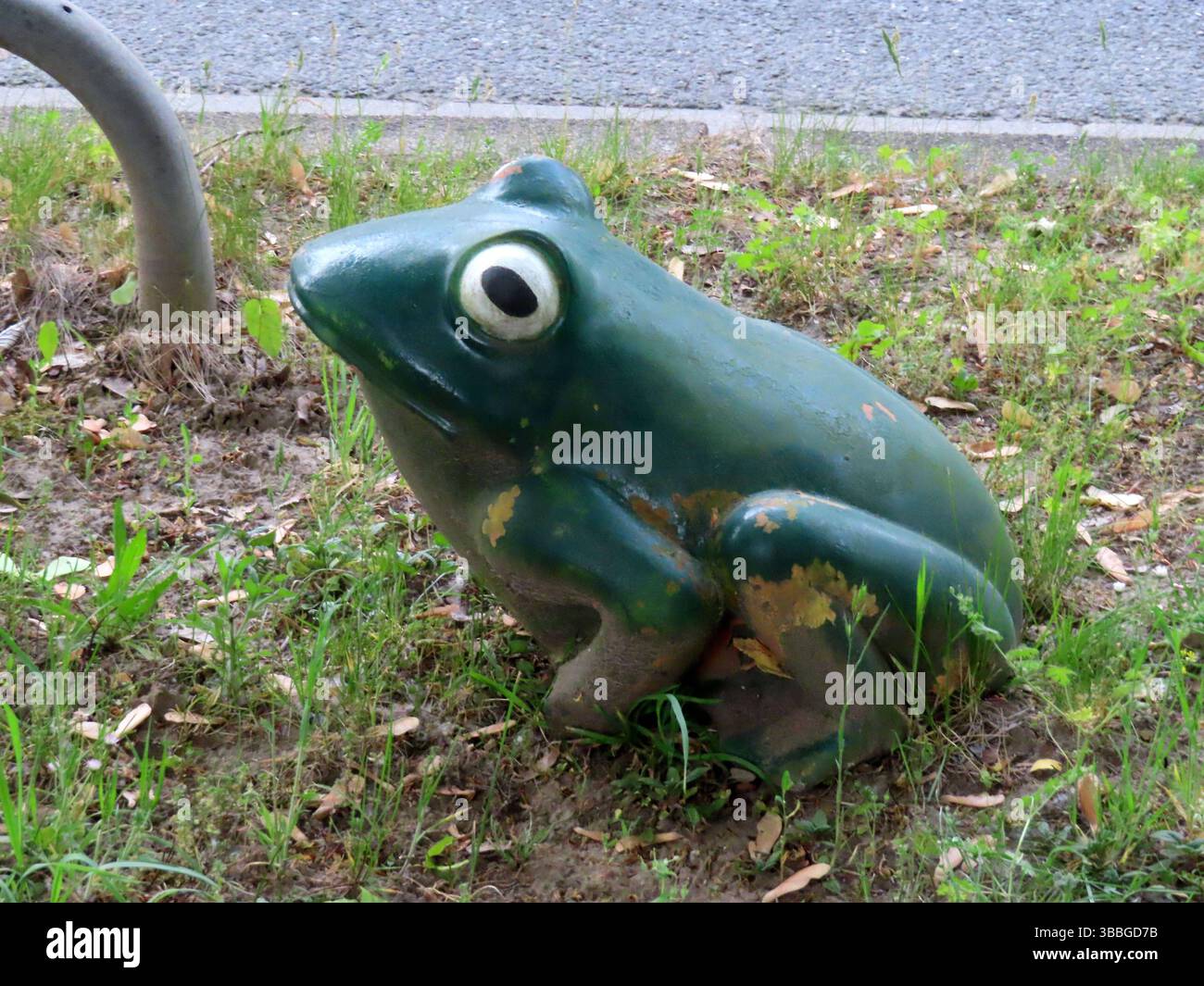 ...der Bursche ist schisserich wegen der Straße... Frosch - spring ...