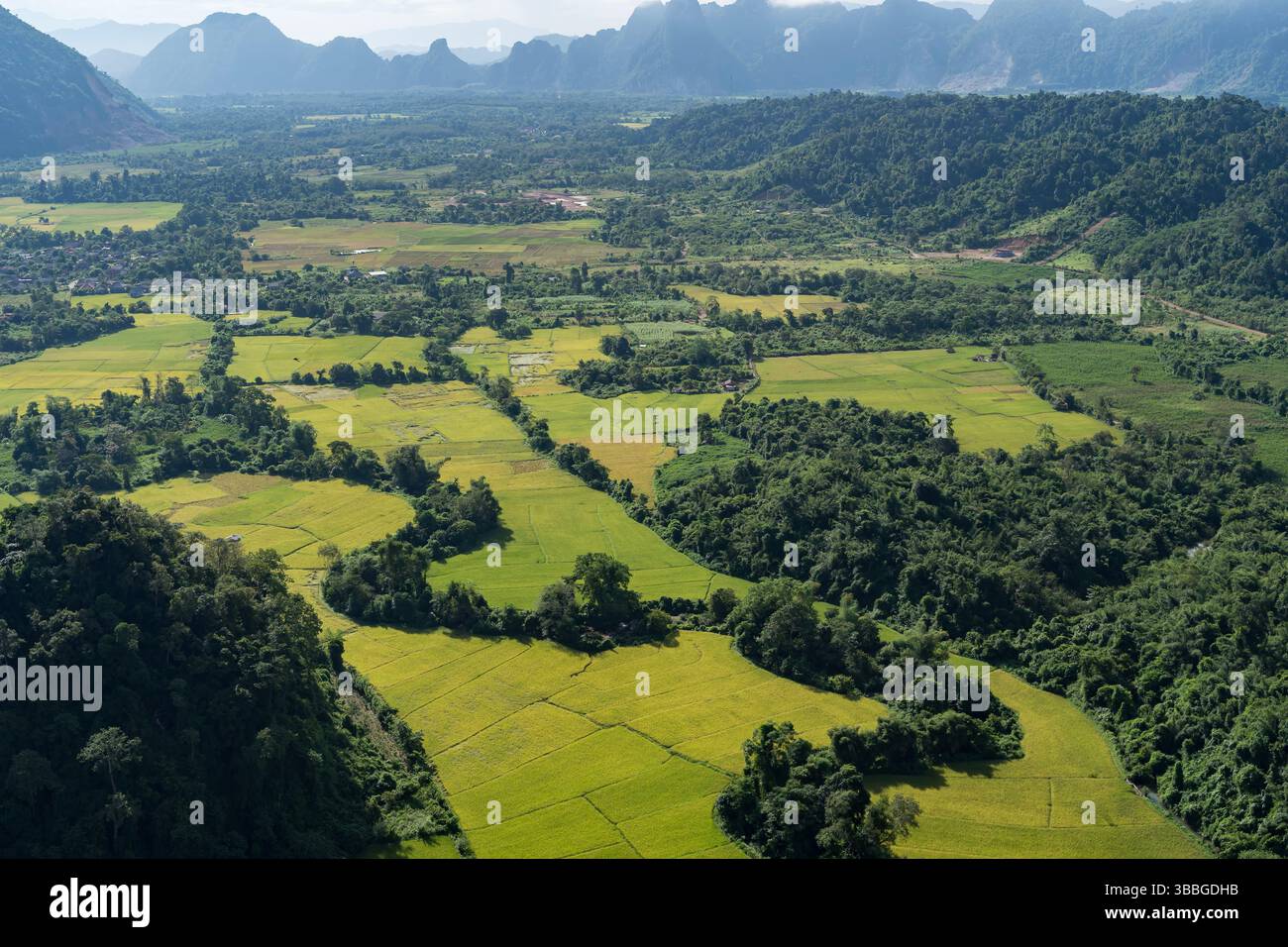Aerial shot of lush green rice fields surrounded by forest and ...