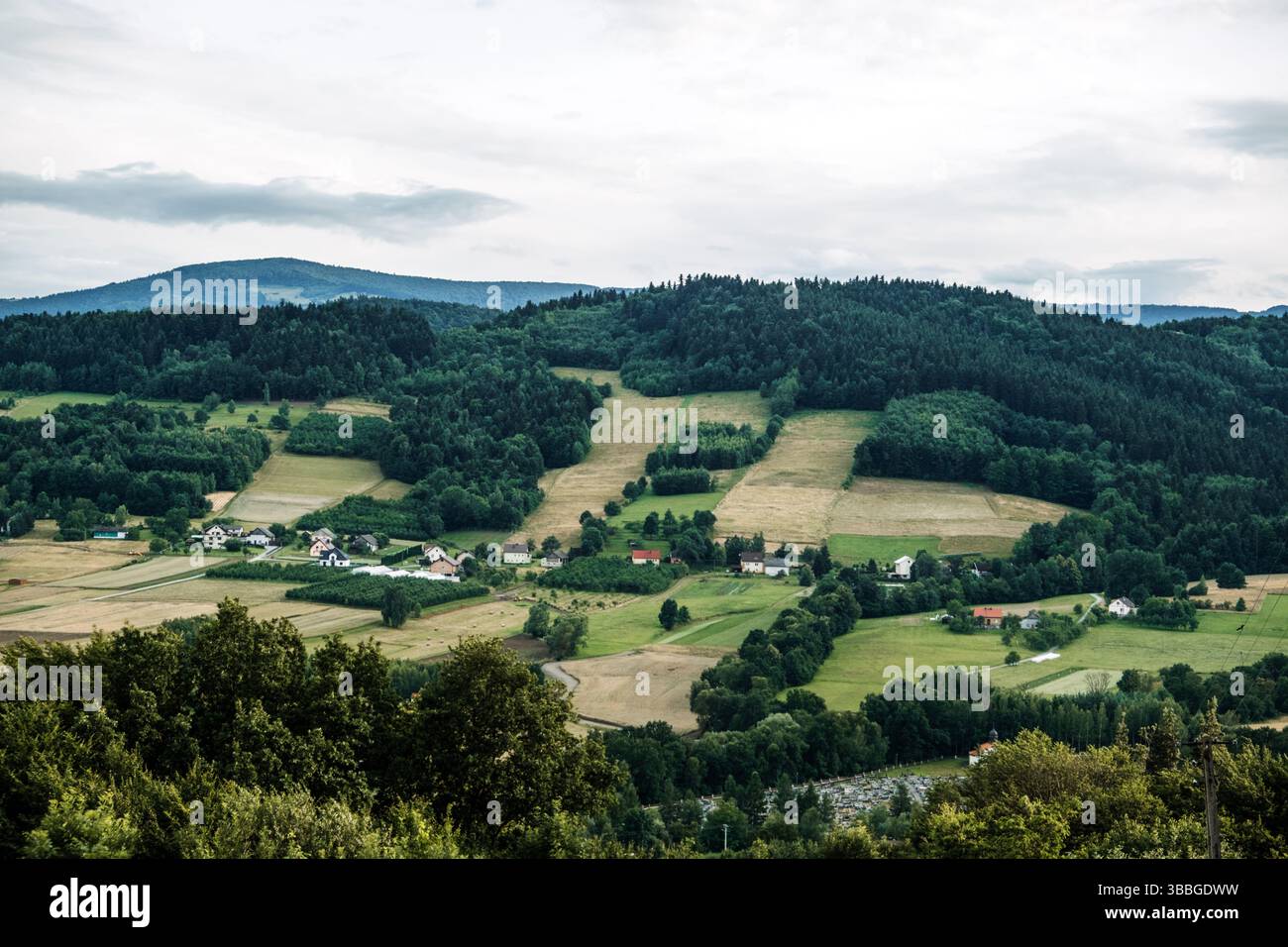 Patchwork of fields and small farms nestled at the foot of a forested ...