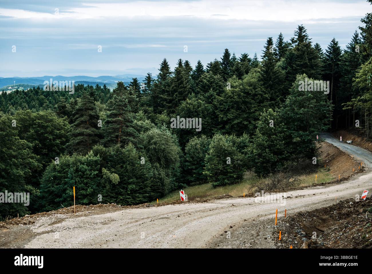 Dirt road under construction winding through a dense forested landscape ...