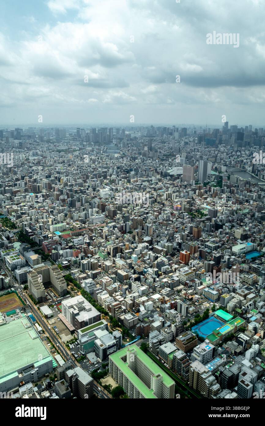An expansive aerial perspective of Tokyo reveals a dense urban ...