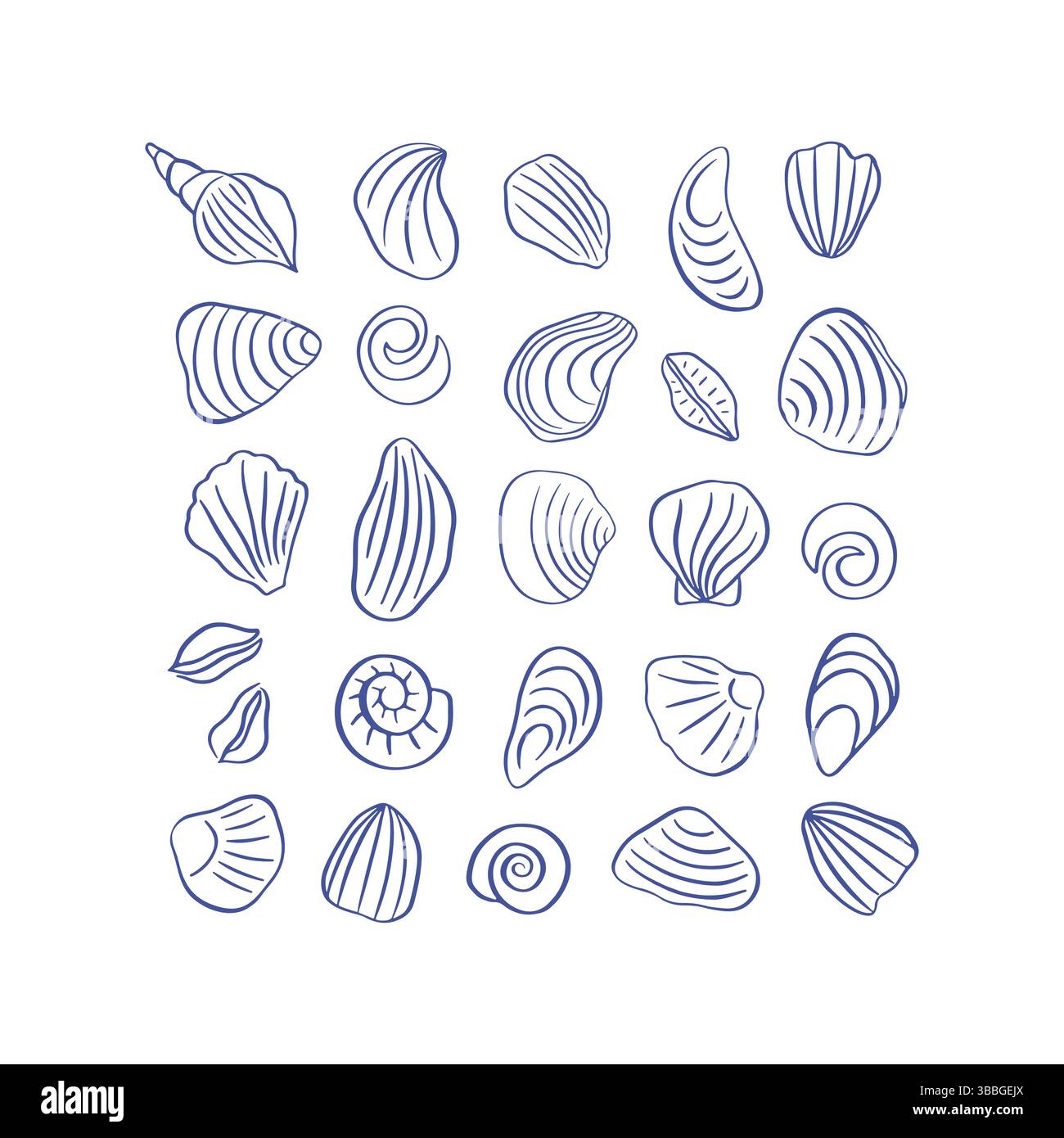 Hand drawn sea shells cliparts Stock Vector Image & Art - Alamy