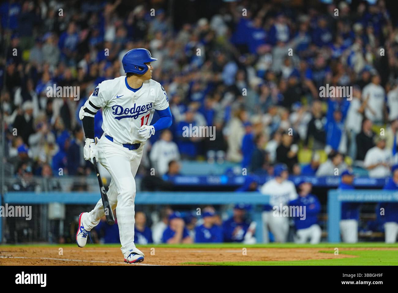 California, USA. 15th May, 2025. Shohei Otani, (Dodgers), May 15, 2025 ...