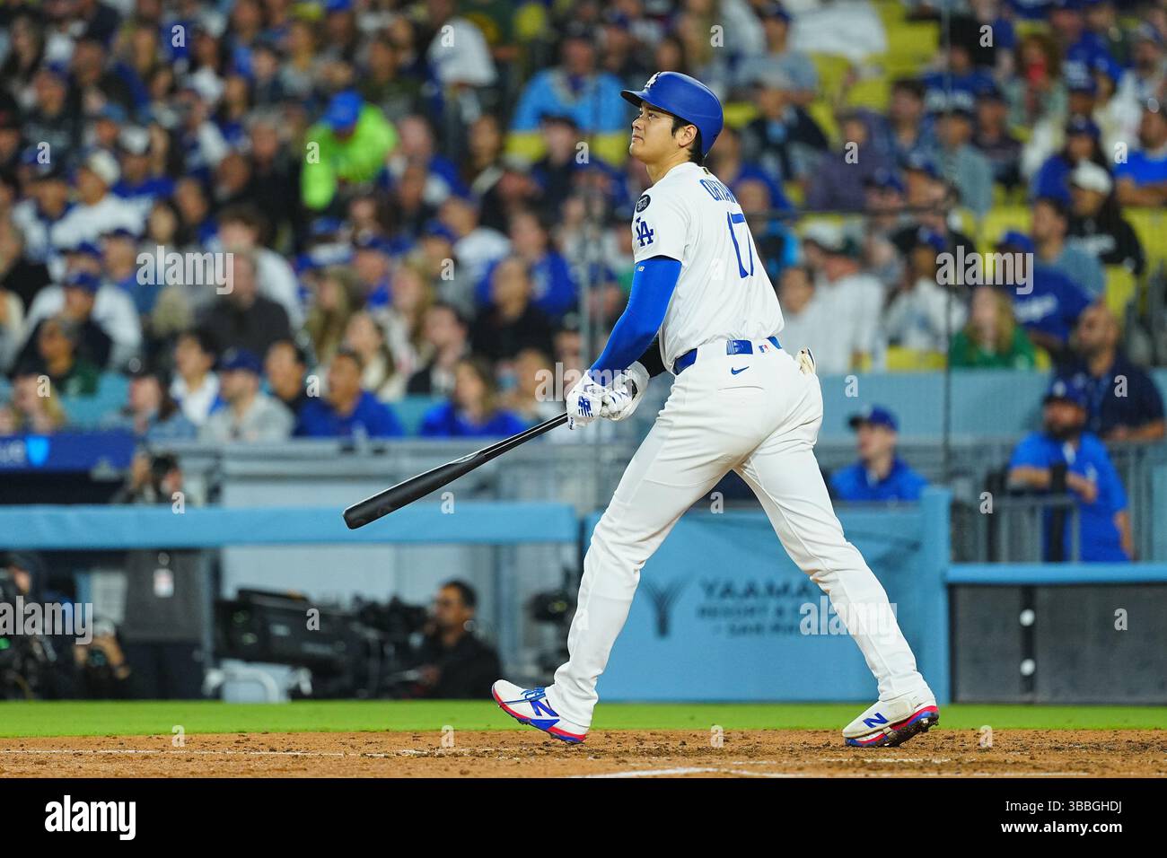 California, USA. 15th May, 2025. Shohei Otani, (Dodgers), May 15, 2025 ...