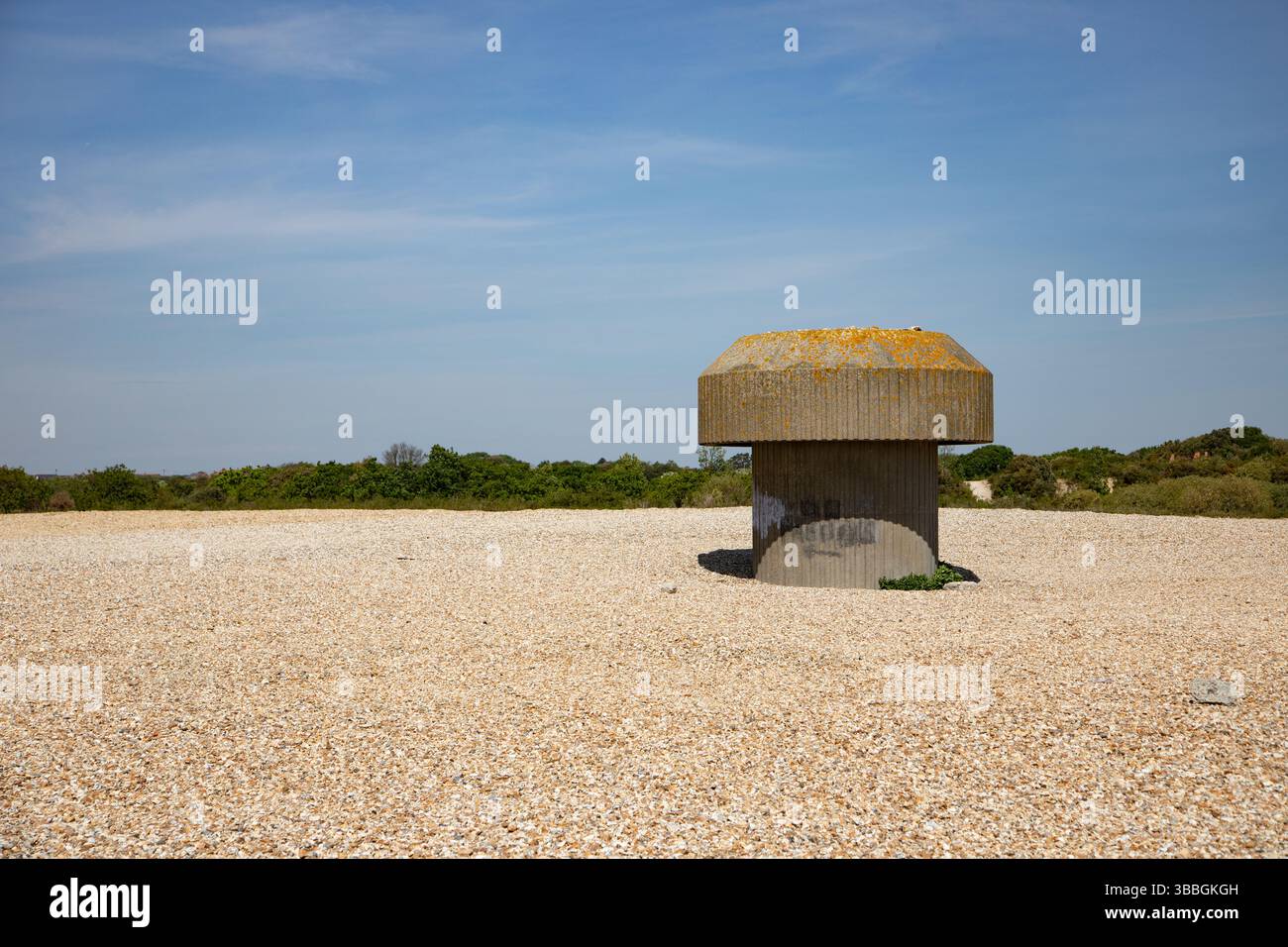 The Browndown Mushroom Stock Photo - Alamy