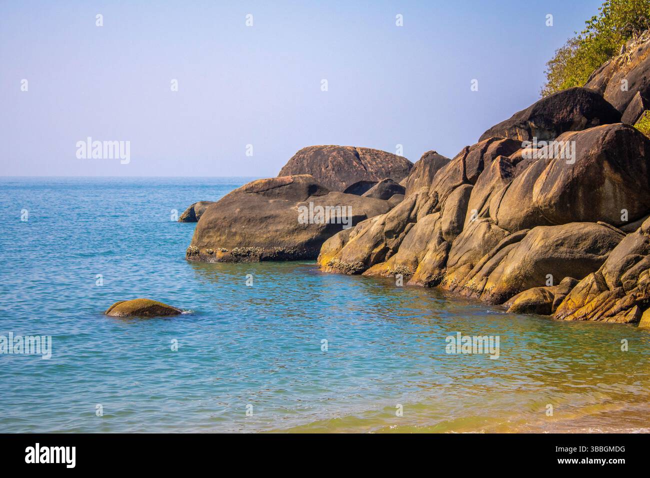 Shore of Buttefly Beach in Goa, India Stock Photo - Alamy
