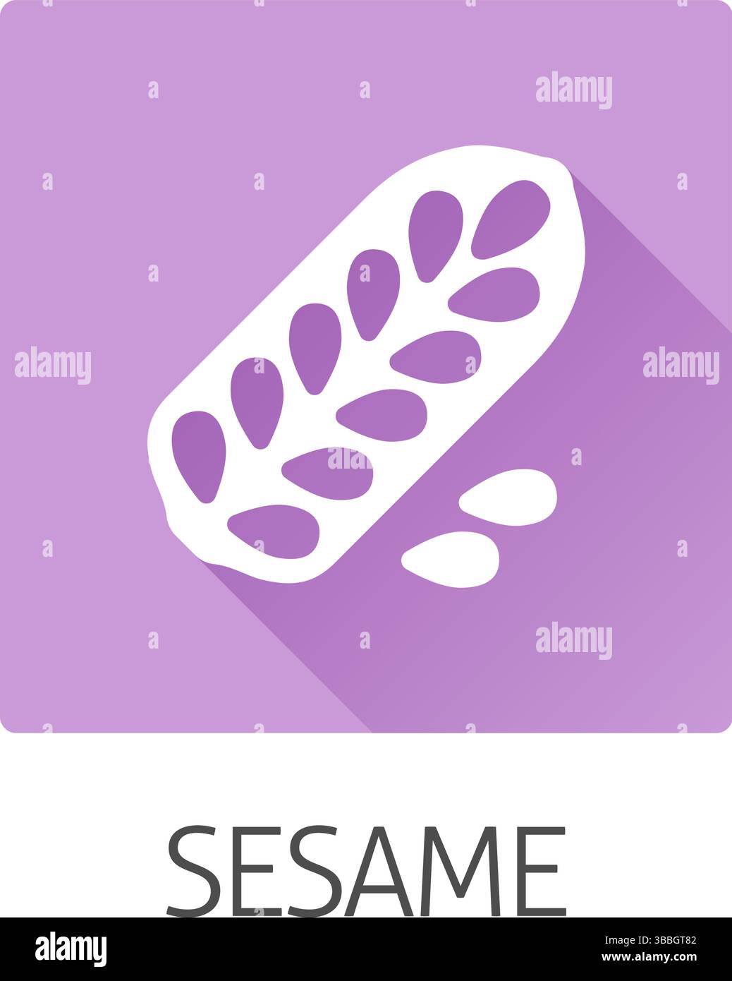 Sesame Seed Capsule Pod Food Allergen Icon Concept Stock Vector Image ...
