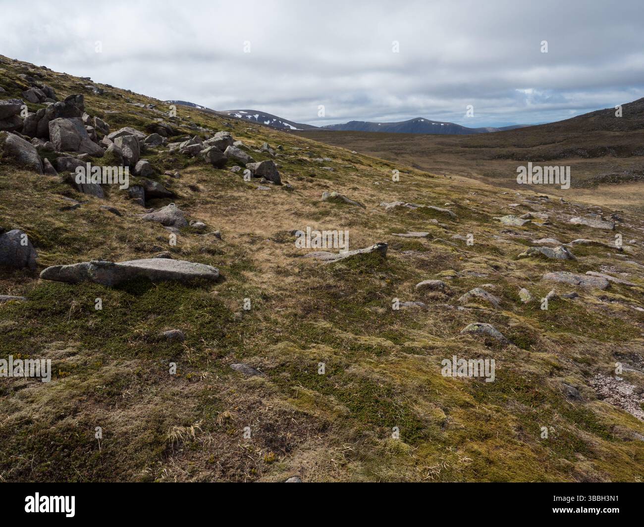 High Alpine moorland with mountain ridges beyond, Cairgorms National ...