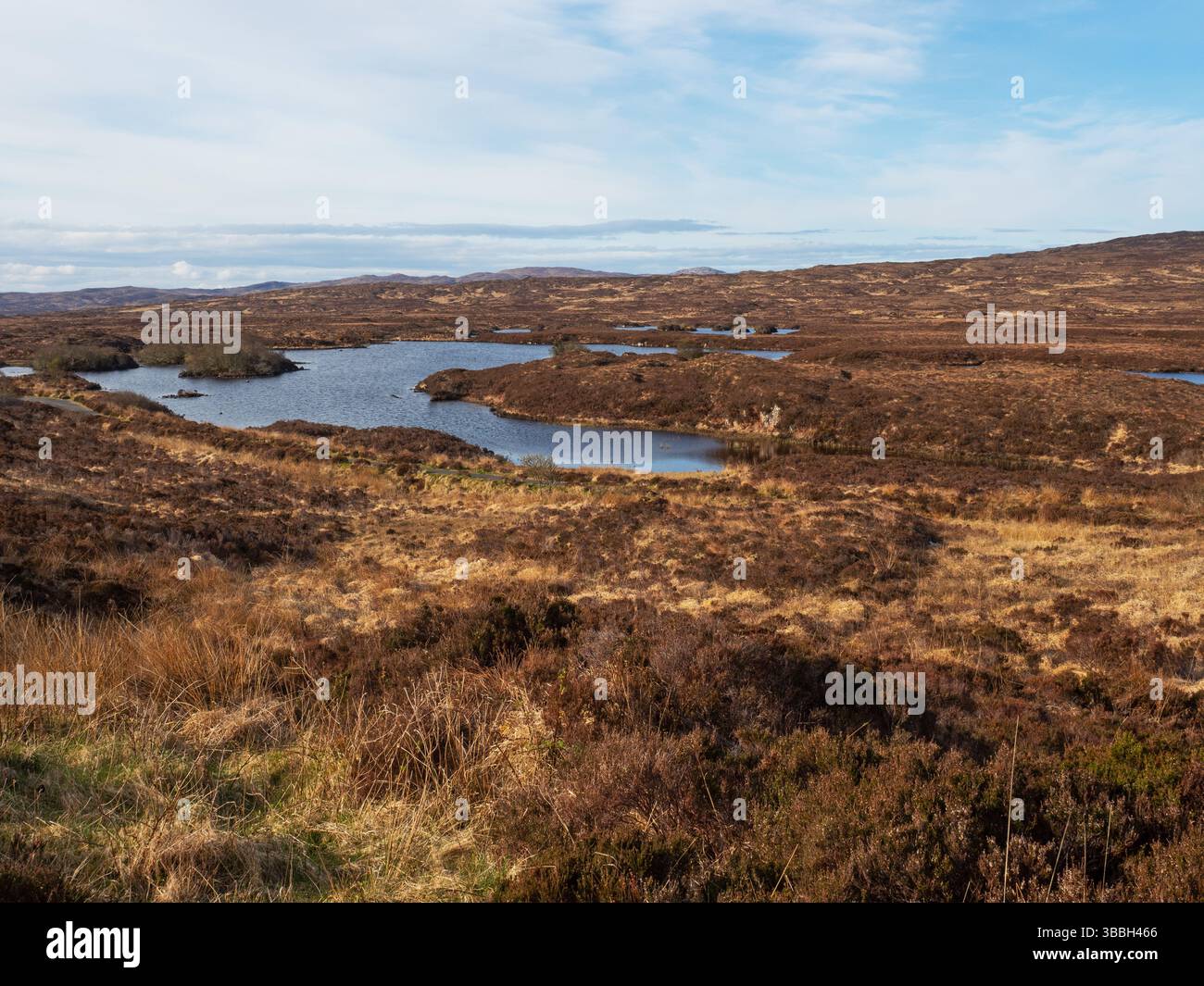Mointeach nan Lochan Dubha Special Area of Conservation, Sleat Peninsula, Isle of Skye, Inner ...