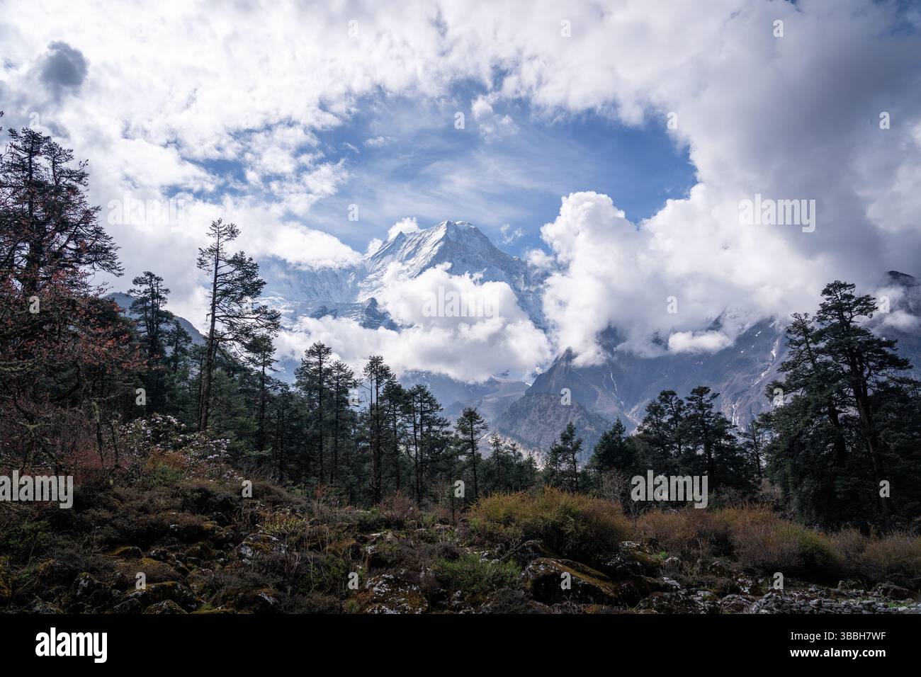 Eastern face of Mount Manaslu seen through forest and clouds on the ...