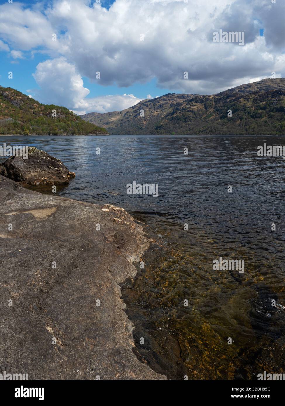 Loch Lomond National Nature Reserve with Inversnaid RSPB Reserve across ...
