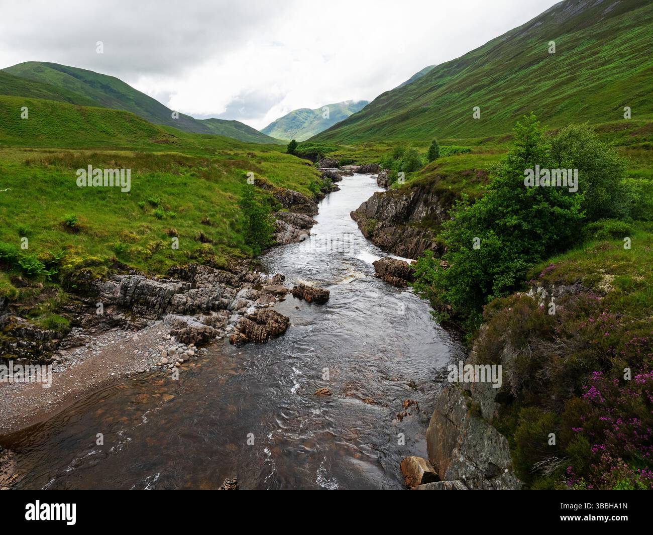 River roy, Silver birch Betula pendula and mountains in Glen Roy ...