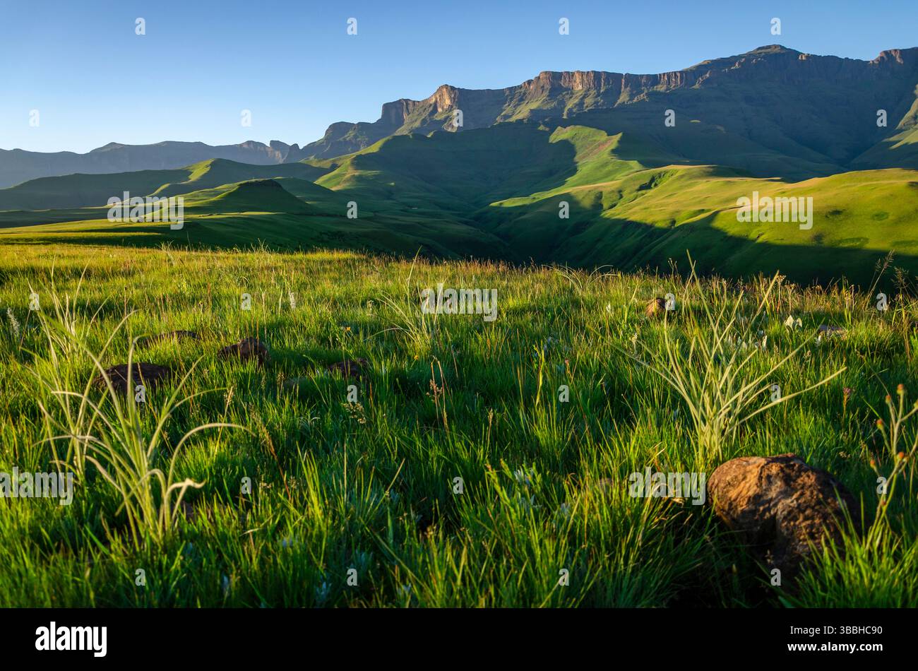 Breathtaking Drakensberg scenery at Cathedral Peak, Ukhahlamba Drakensberg Park, KwaZulu Natal ...