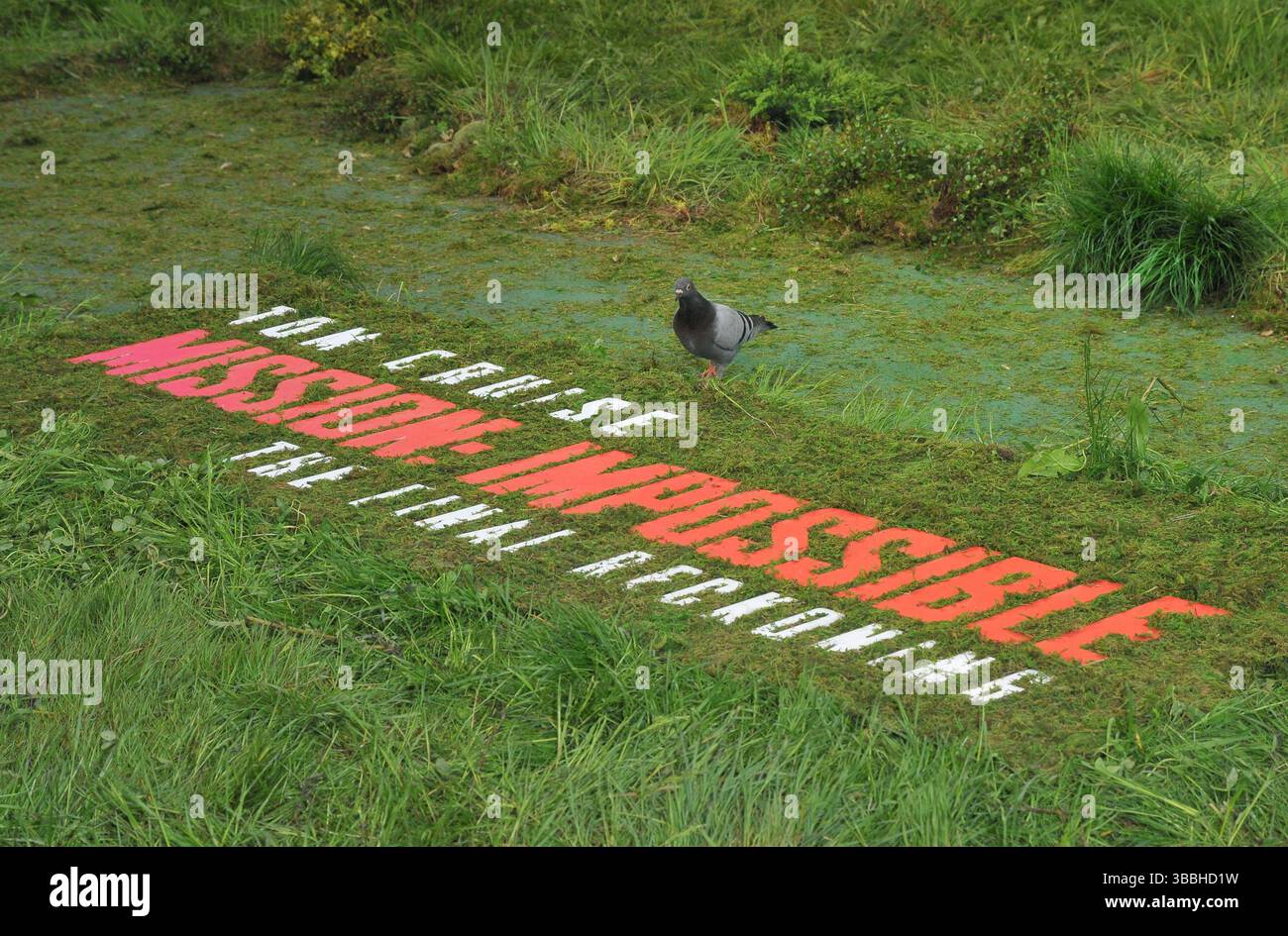London, UK. 15th May, 2025. pigeon at the "Mission: Impossible - The ...