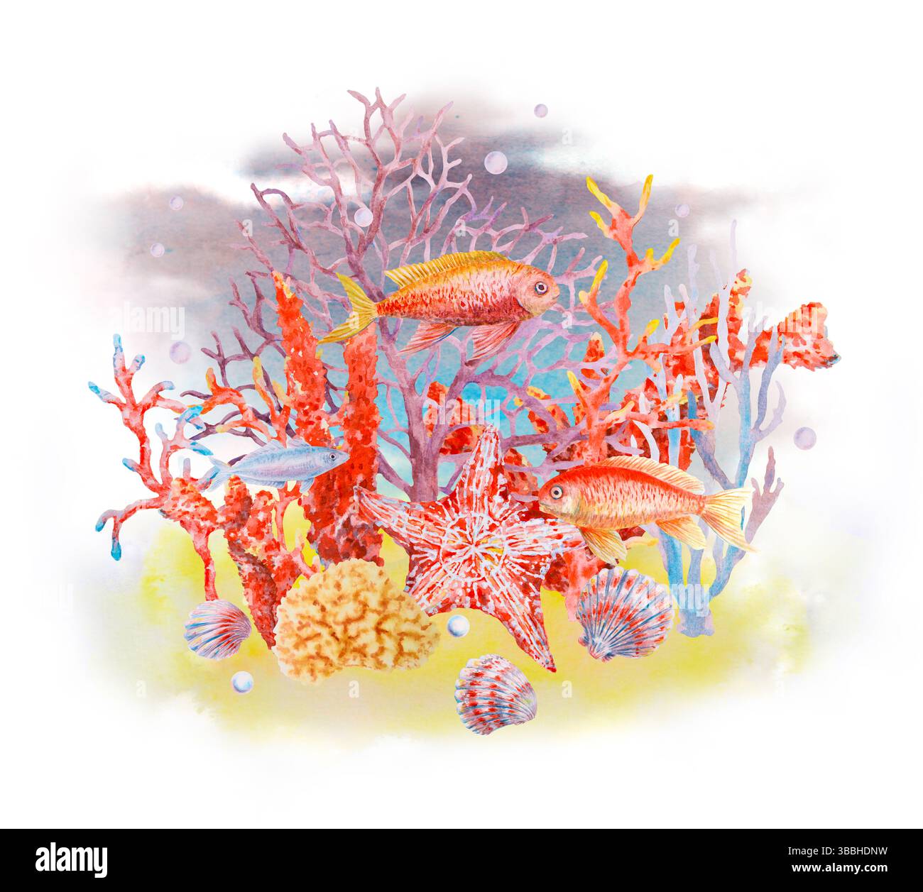 Reef scene with fish and corals Cut Out Stock Images & Pictures - Alamy