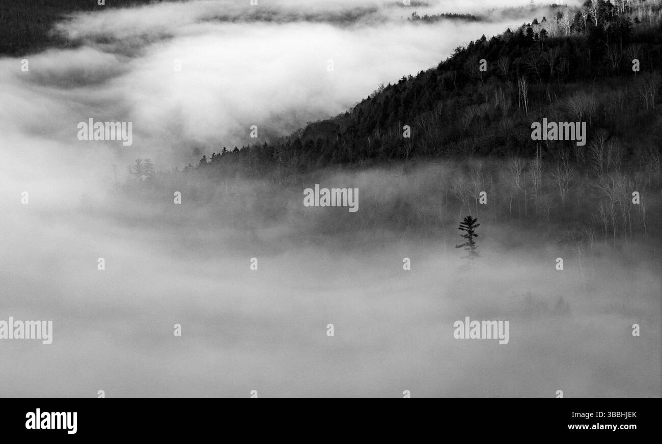 Appalachian mountains aerial Black and White Stock Photos & Images - Alamy