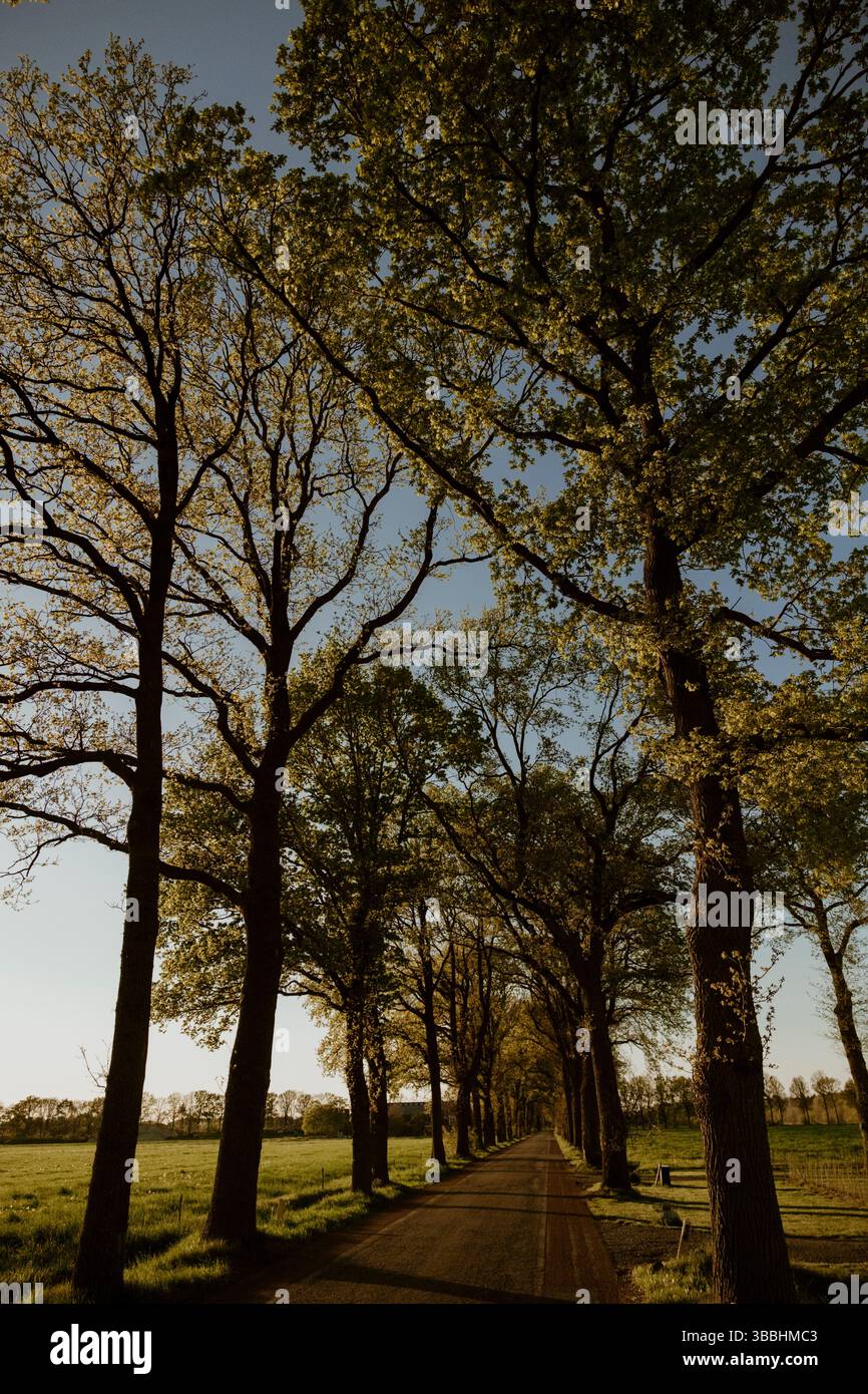 Rideview hi-res stock photography and images - Alamy