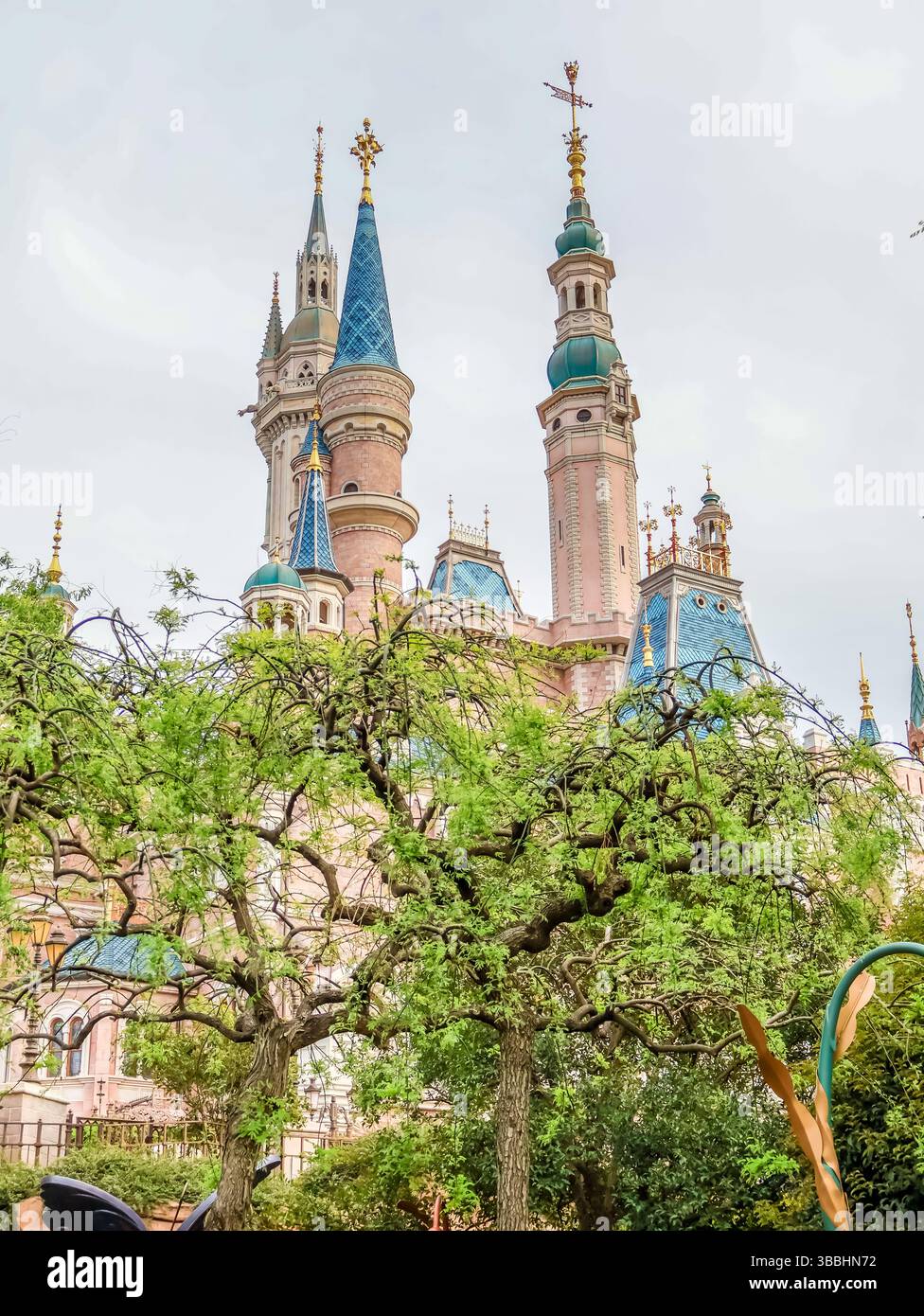 Enchanting view of the Enchanted Storybook Castle surrounded by ...