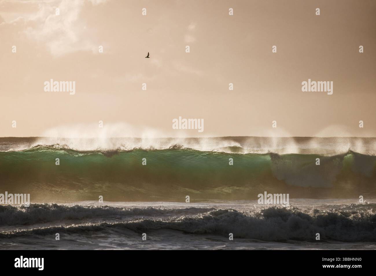 Golden sunrise light hits rolling waves at Manly Beach Stock Photo - Alamy