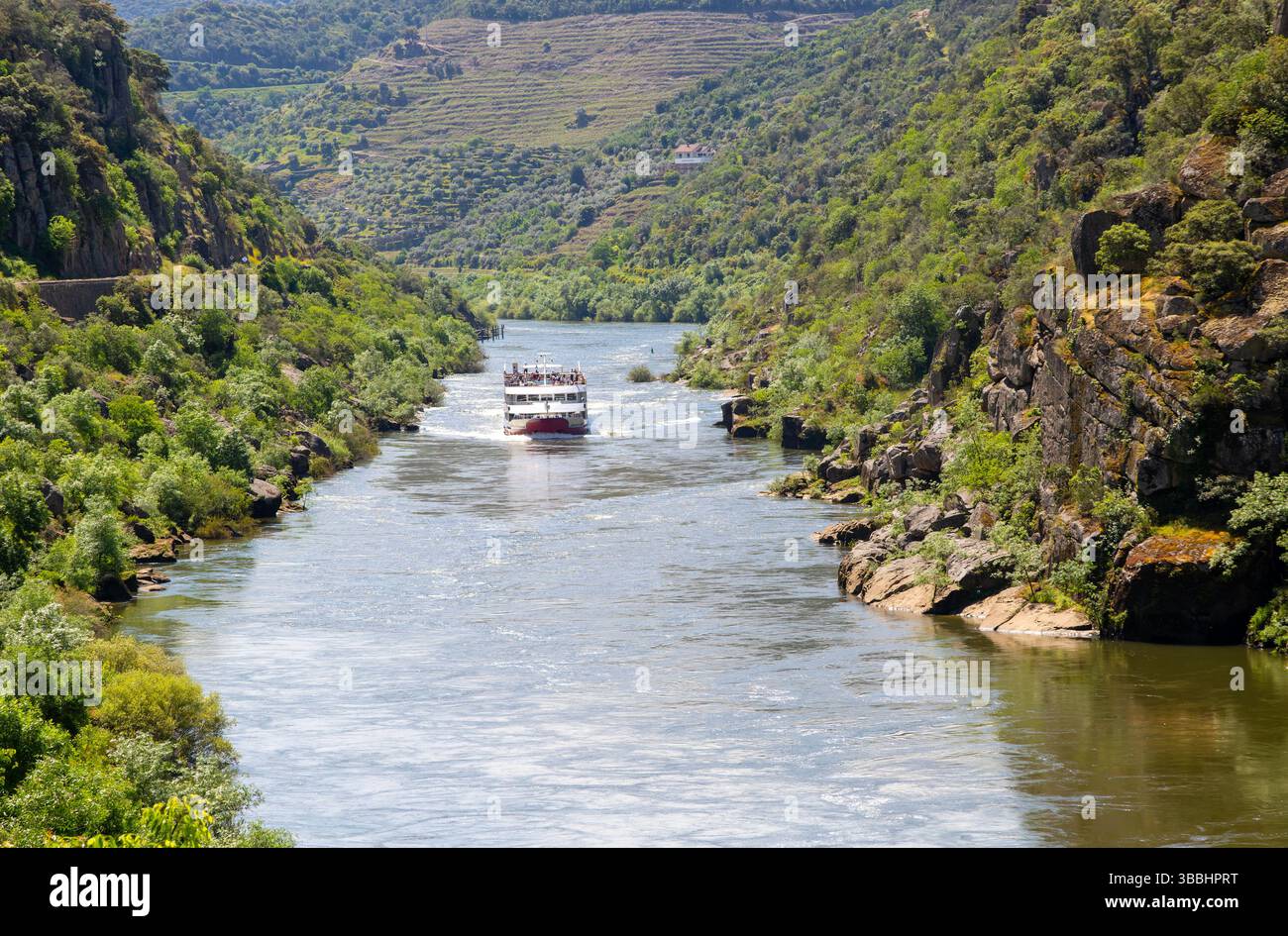 MS Douro Queen, Nicko Cruises river cruiser ship, River Douro, Douro ...
