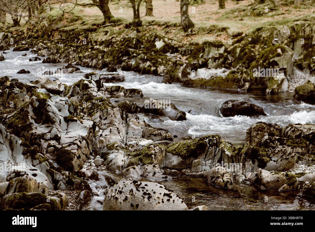 Rocky moss-covered stream with flowing water in rural England, Ulpha ...