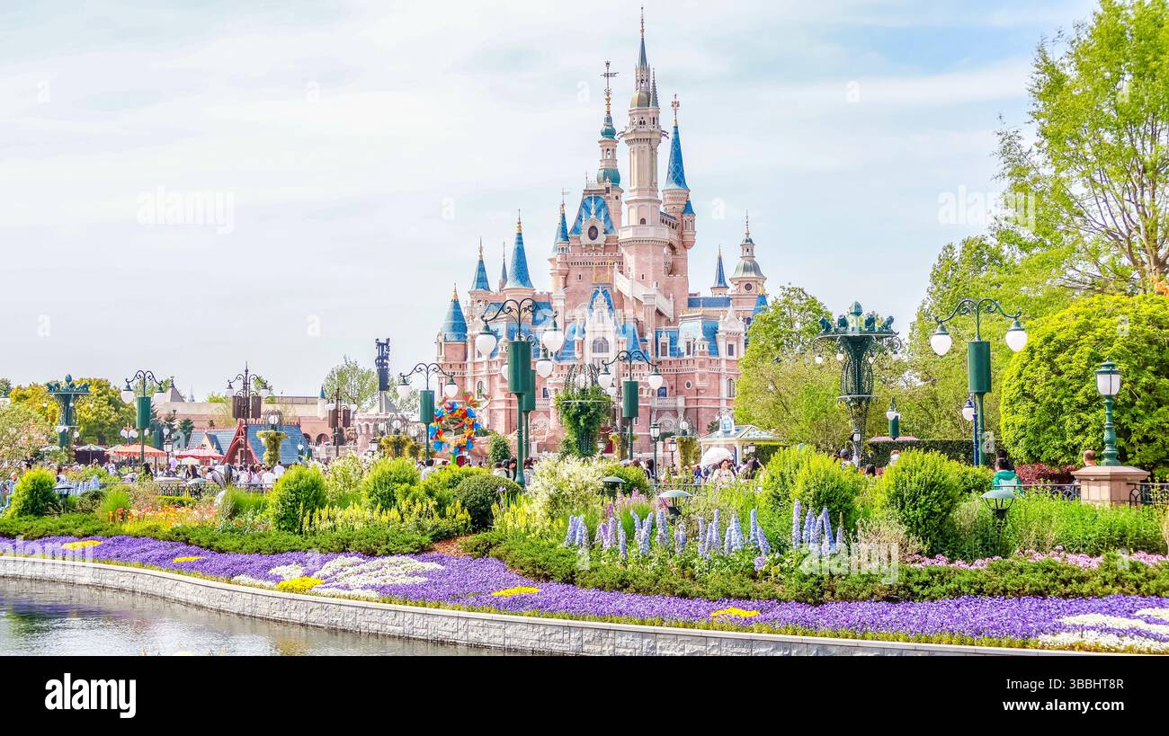 Enchanting view of the Enchanted Storybook Castle surrounded by ...
