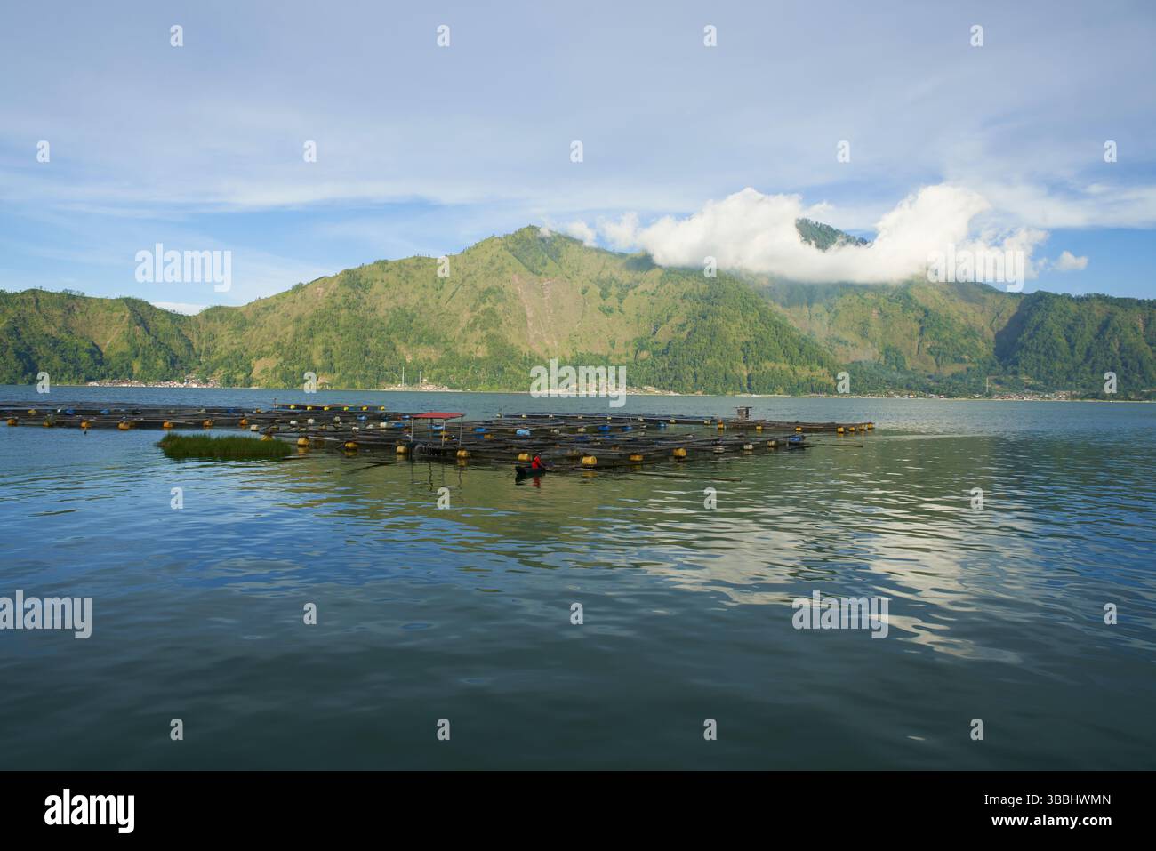 Mujaer fish cages made by fish farmers in Lake Batur, Kintamani - Bali ...