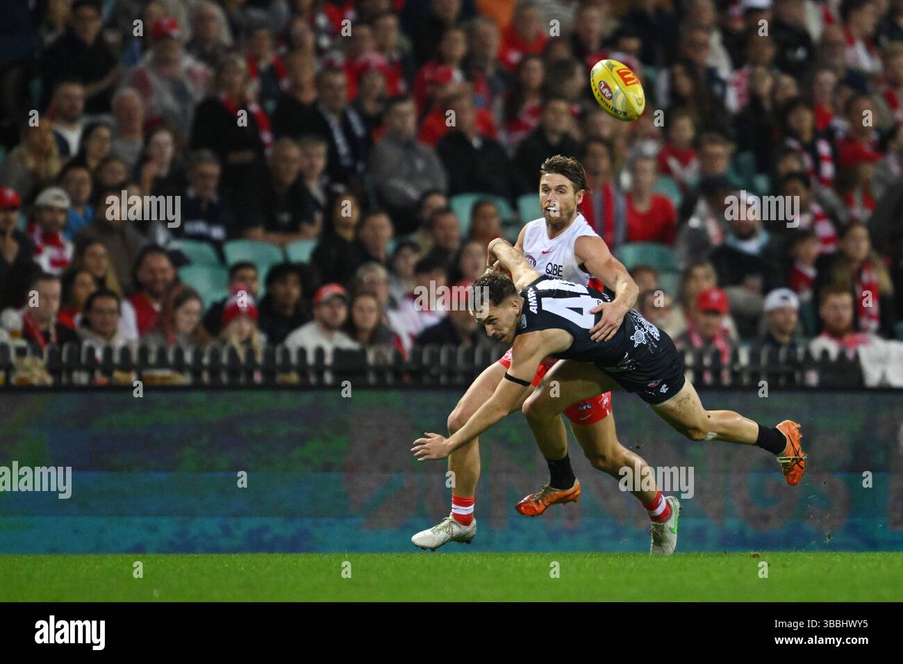 Sydney, Australia. 16th May, 2025. Dane Rampe of the Swans and Francis ...