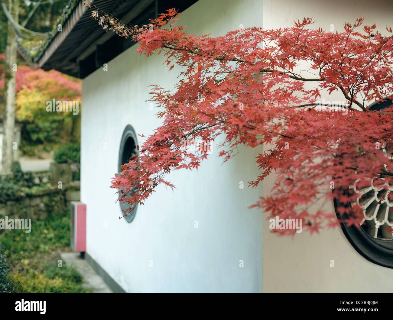 Moon gate hi-res stock photography and images - Alamy