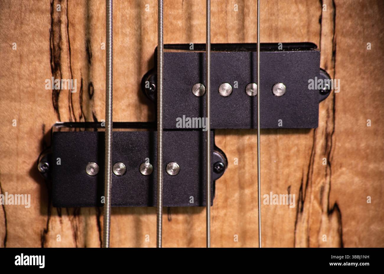 Close up image of a P bass split coil pickup on a bass guitar. Showing ...