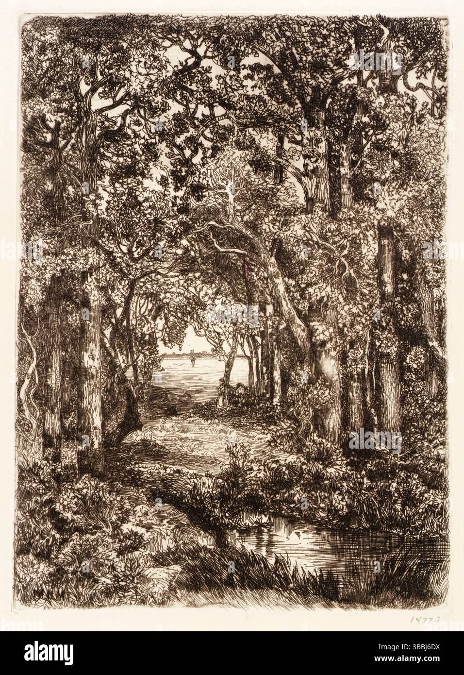 Mary Nimmo Moran, The Sea through the Woods, landscape etching, 1880 ...