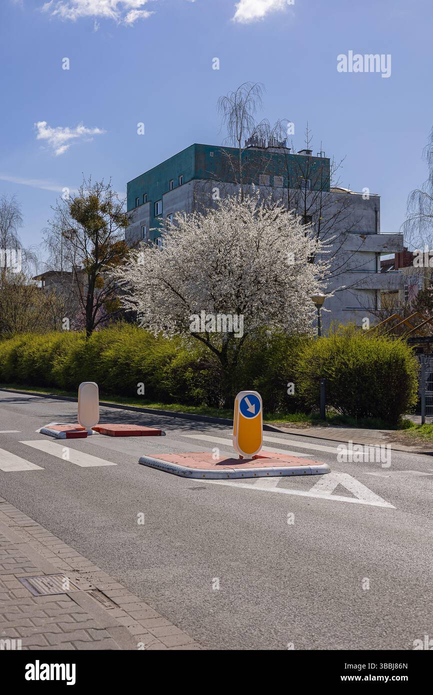 Urban street with fresh road markings, traffic islands, and directional ...