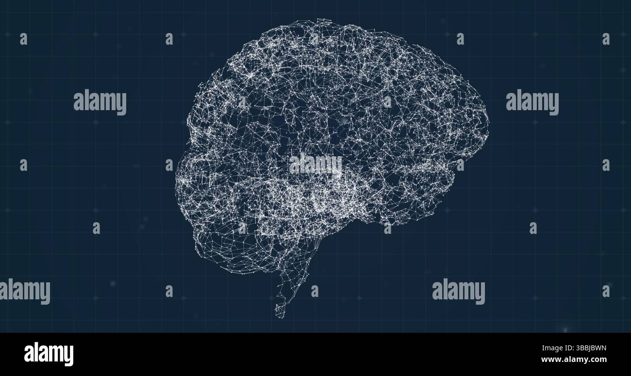 Animating right-side brain hemisphere floating in virtual grid space ...