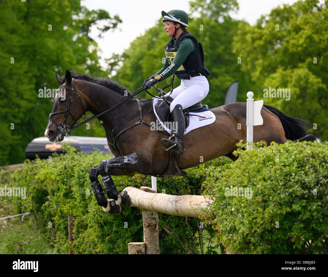 Trick or treat 2025 hi-res stock photography and images - Alamy
